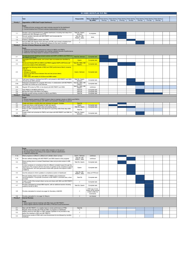 Six Week Workplan For Pmu | PDF | Business