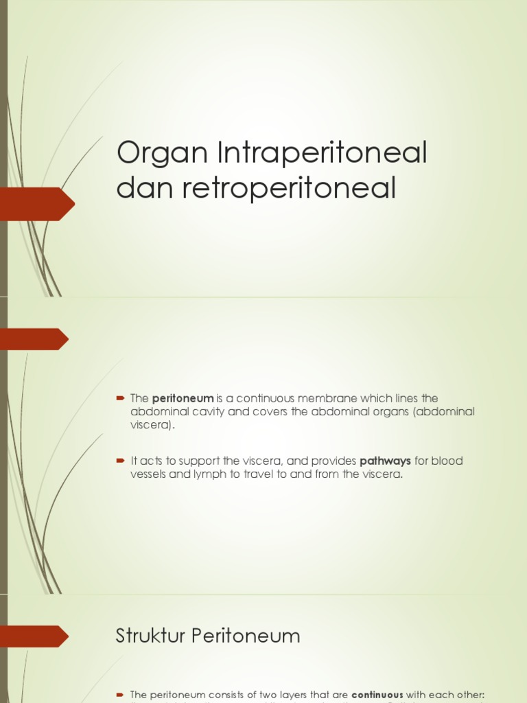 Intraperitoneal And Retroperitoneal Organs