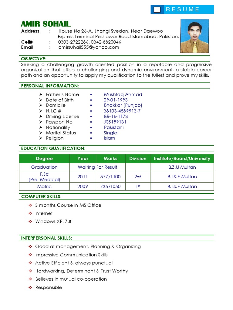 Amir CV Lift | PDF | Pakistan