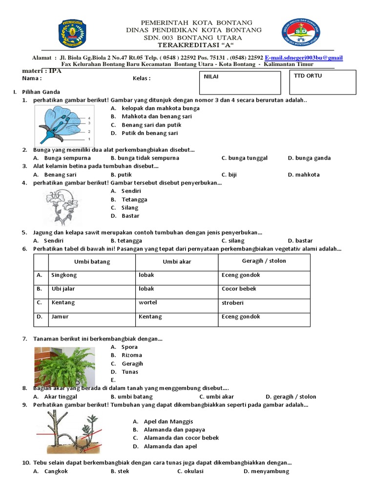 Soal PTS Mapel IPA Kelas 6 SD | PDF