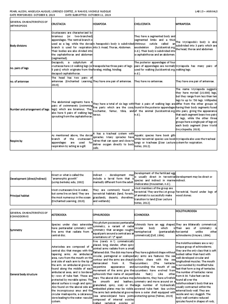 Animal Diversity | PDF | Skeleton | Crustacean
