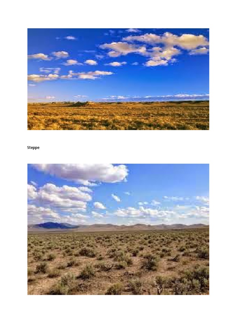 Vegetation Cover | PDF