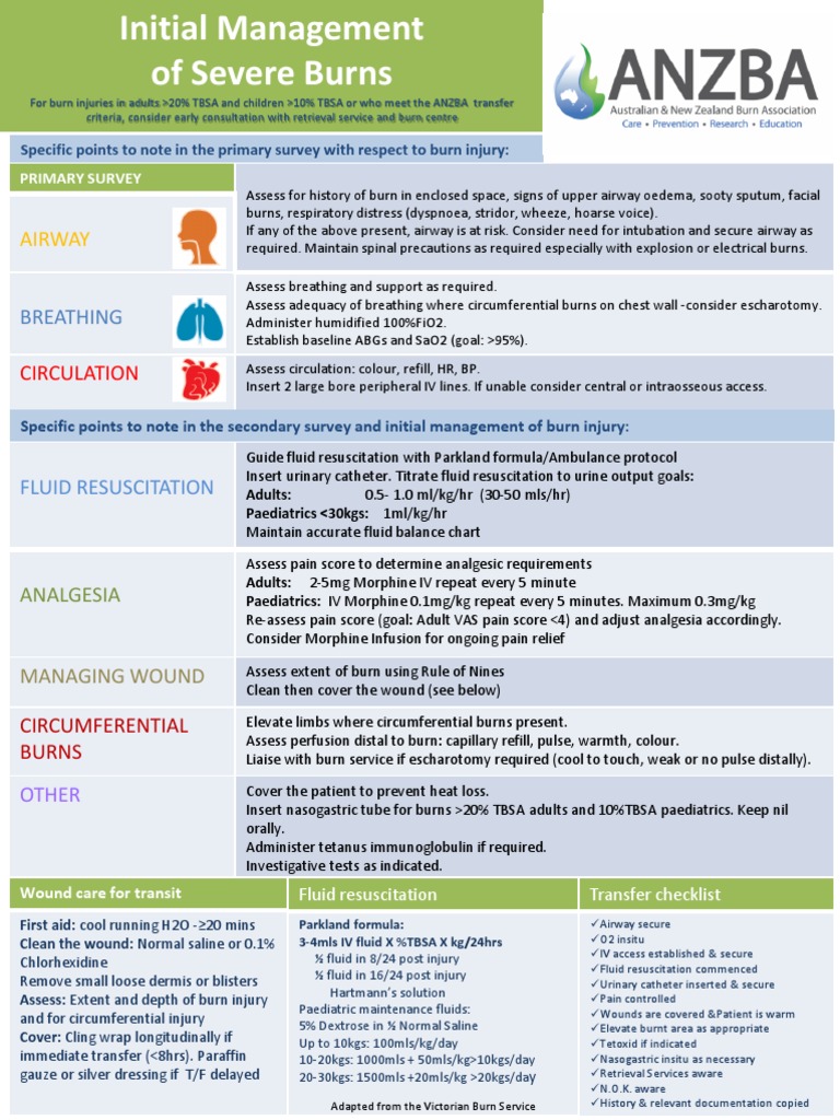 Initial Management of Severe Burns: A Guide to the Primary and ...