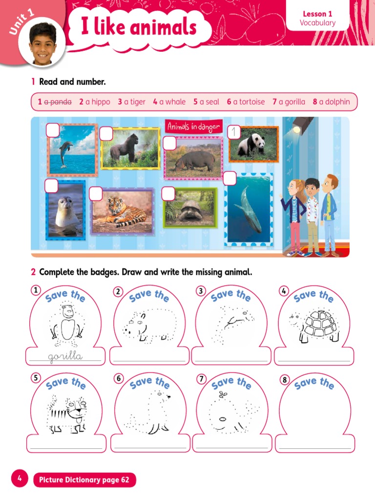 activity book 3º | PDF