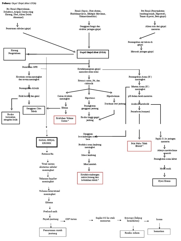 Pathway Gagal Ginjal Akut | PDF
