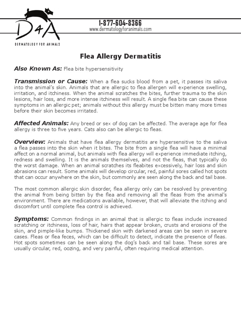 Flea Allergy Dermatitis | PDF | Allergen | Allergy