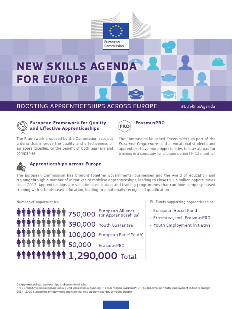 Factsheet New Skills Agenda For EU - 09 | PDF | Apprenticeship ...