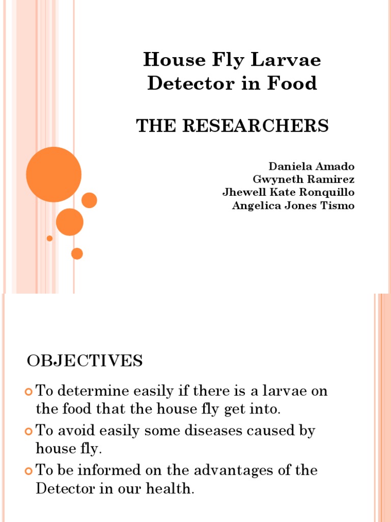 House Fly Larvae Detector in Food | PDF | Fly | Pathogen