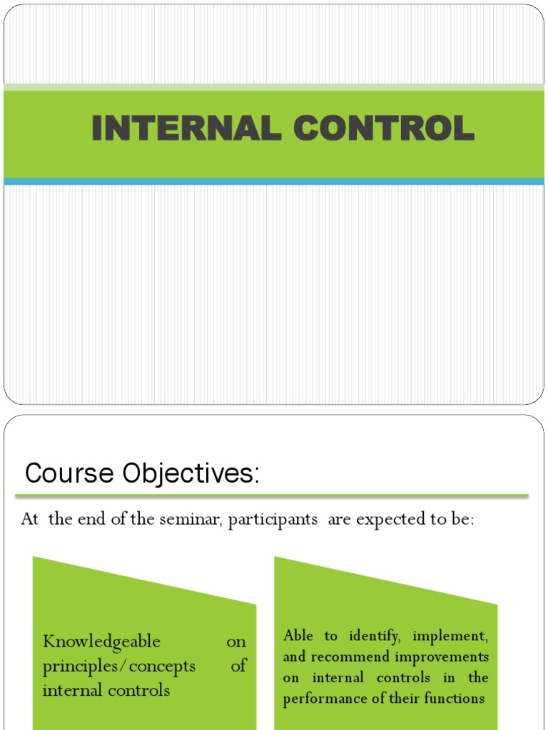 Internal Controls | PDF | Internal Control | Risk Management