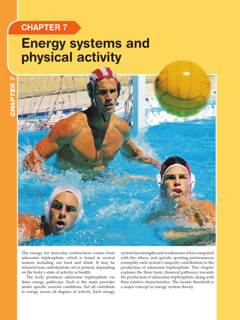 The Interplay of Energy Systems During Physical Activity: An Analysis ...