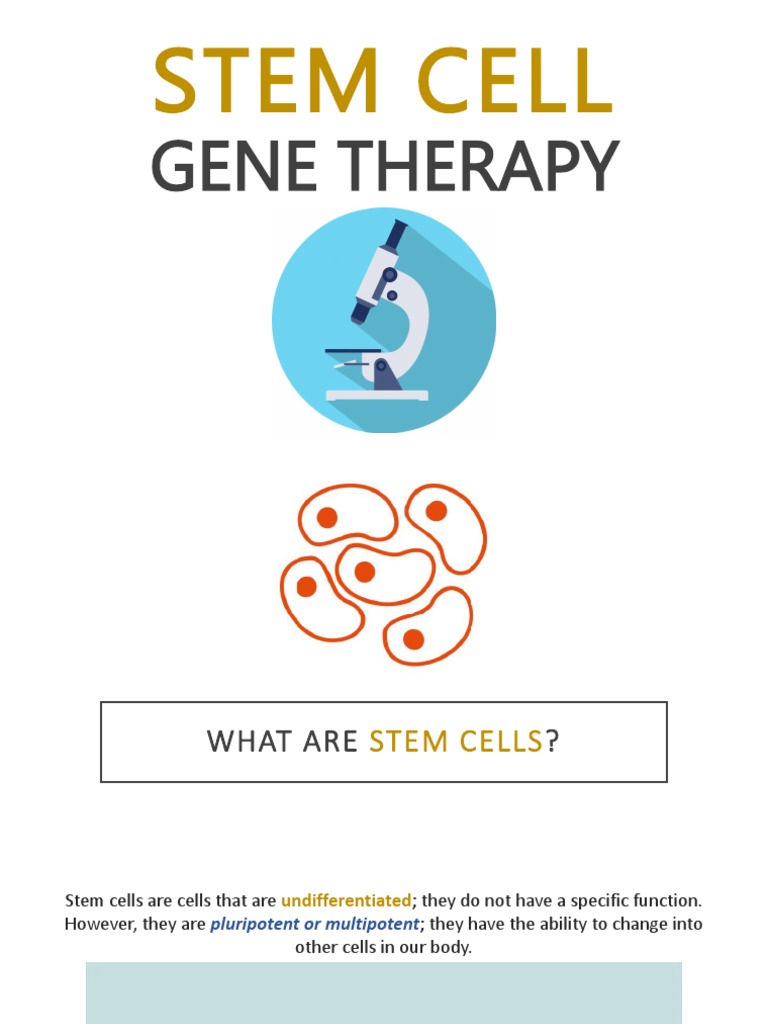 Stem Cells Gene Therapy | PDF | Self-Improvement | Wellness