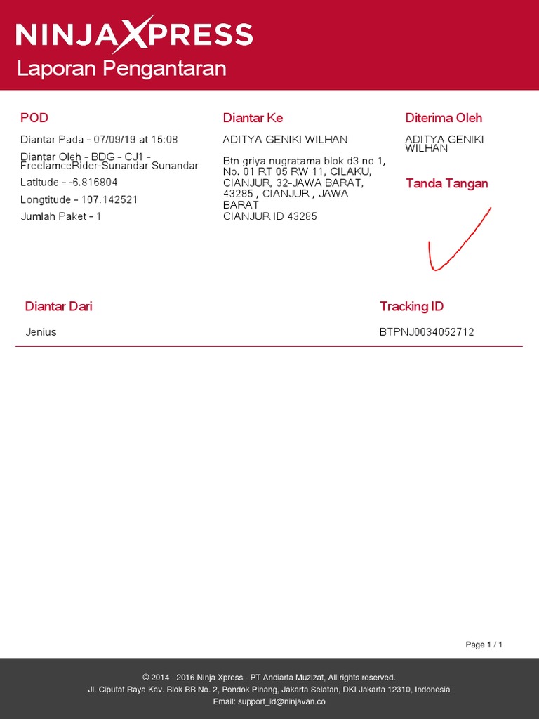 Ninja Express Delivery Report | PDF