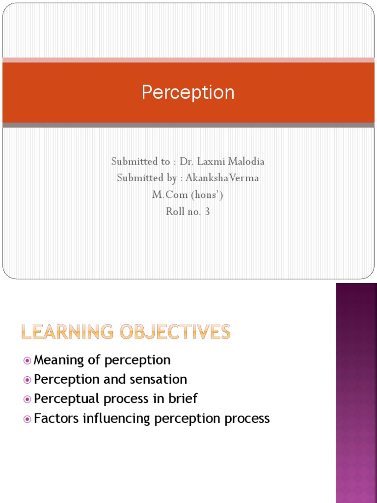 Understanding the Perceptual Process: A Breakdown of the Key Stages of ...