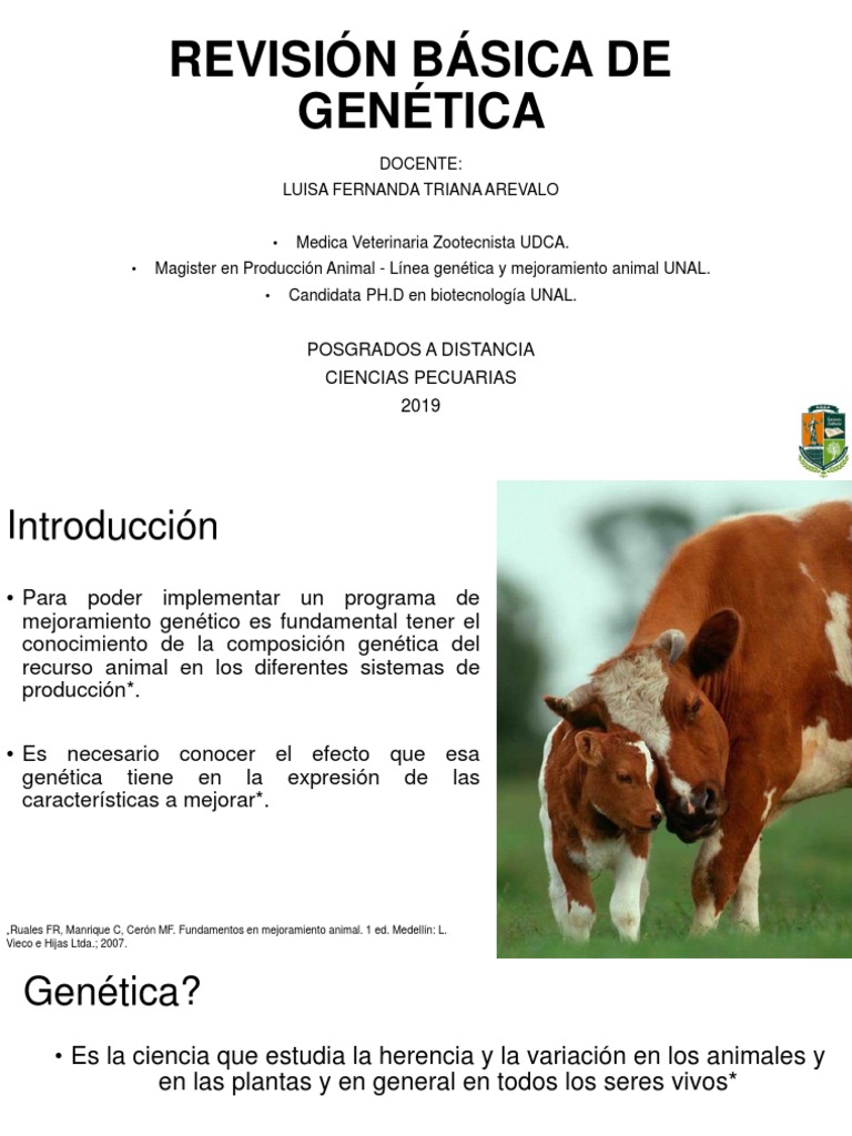 Revision Basica Genetica | PDF | Epistasis | Dominancia (Genética)