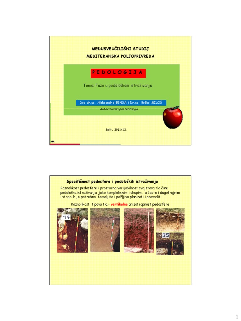 Faze Pedoloskih Istrazivanja PDF | PDF