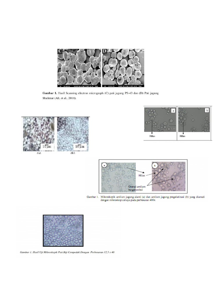 Gambar Amilum Dalam Jurnal | PDF
