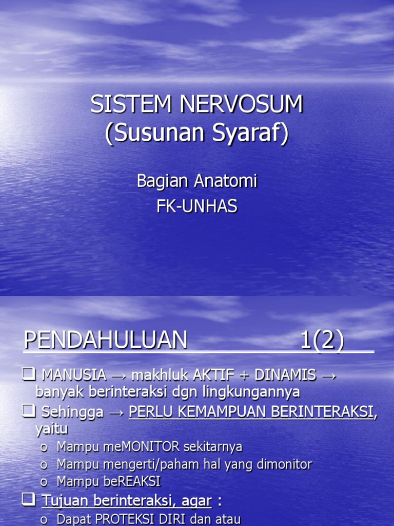 Sistem Nervorum | PDF | Sains & Matematika