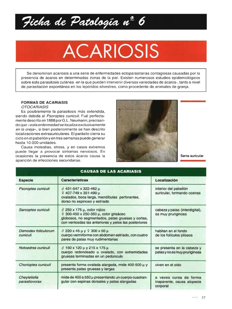 Art. Ficha de Patologia N6 Acariosis | PDF | Epidemiología | Medicina