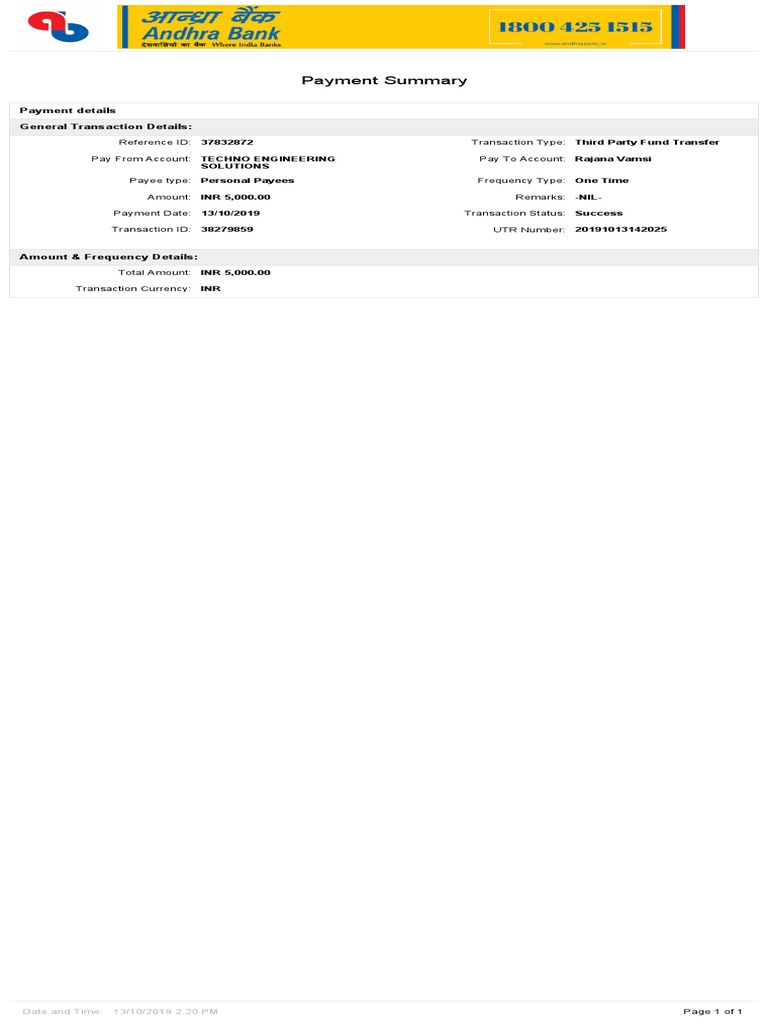 Payment Summary: Solutions | PDF