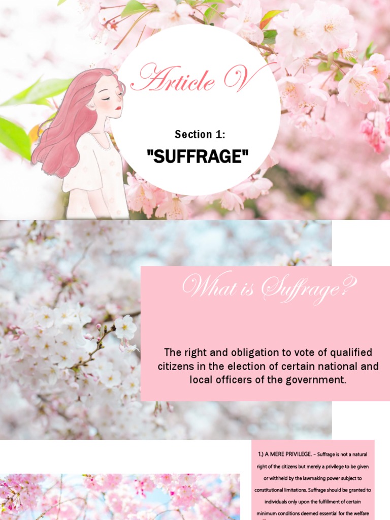 Article V - Suffrage | PDF | Initiative | Suffrage