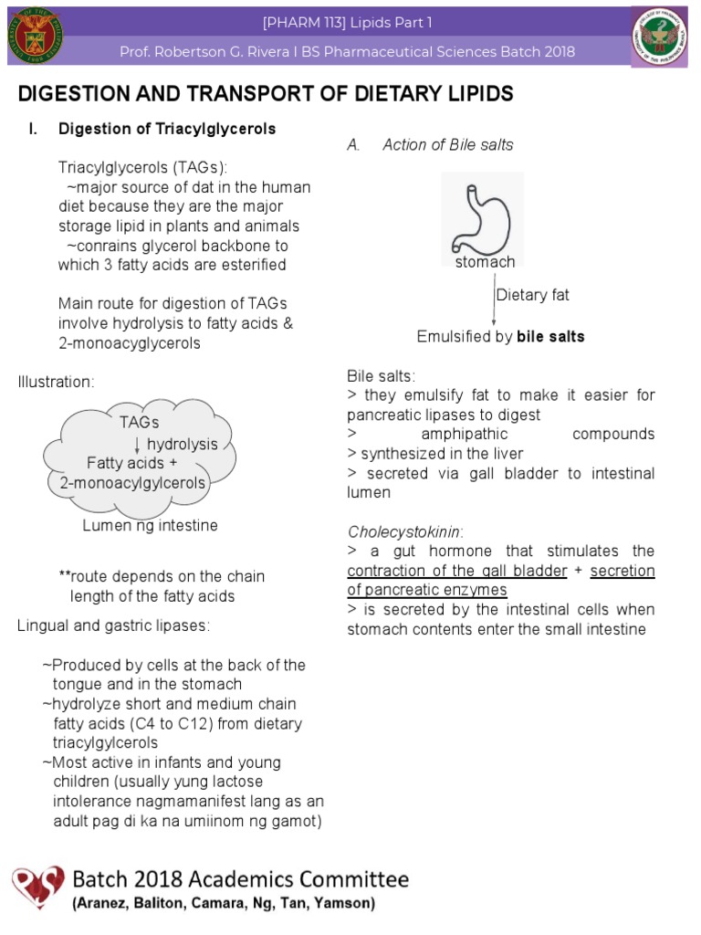 113 Trans Lipids Part 1.1 | PDF | Bile | Triglyceride