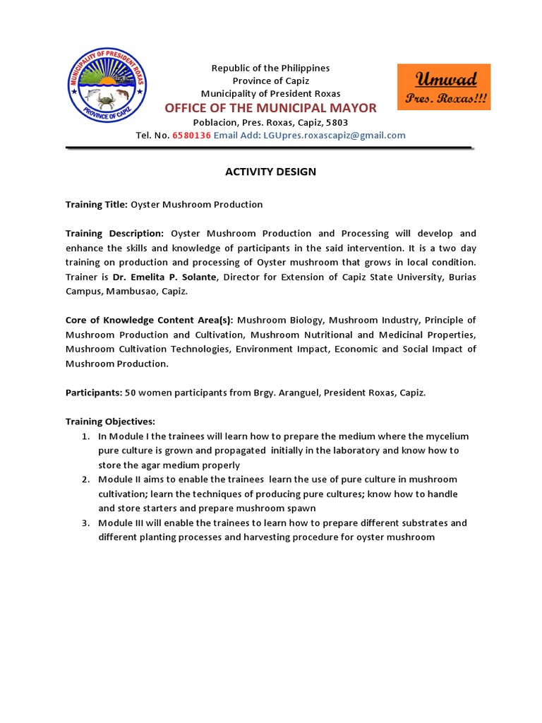Office of The Municipal Mayor: Activity Design | Download Free PDF ...