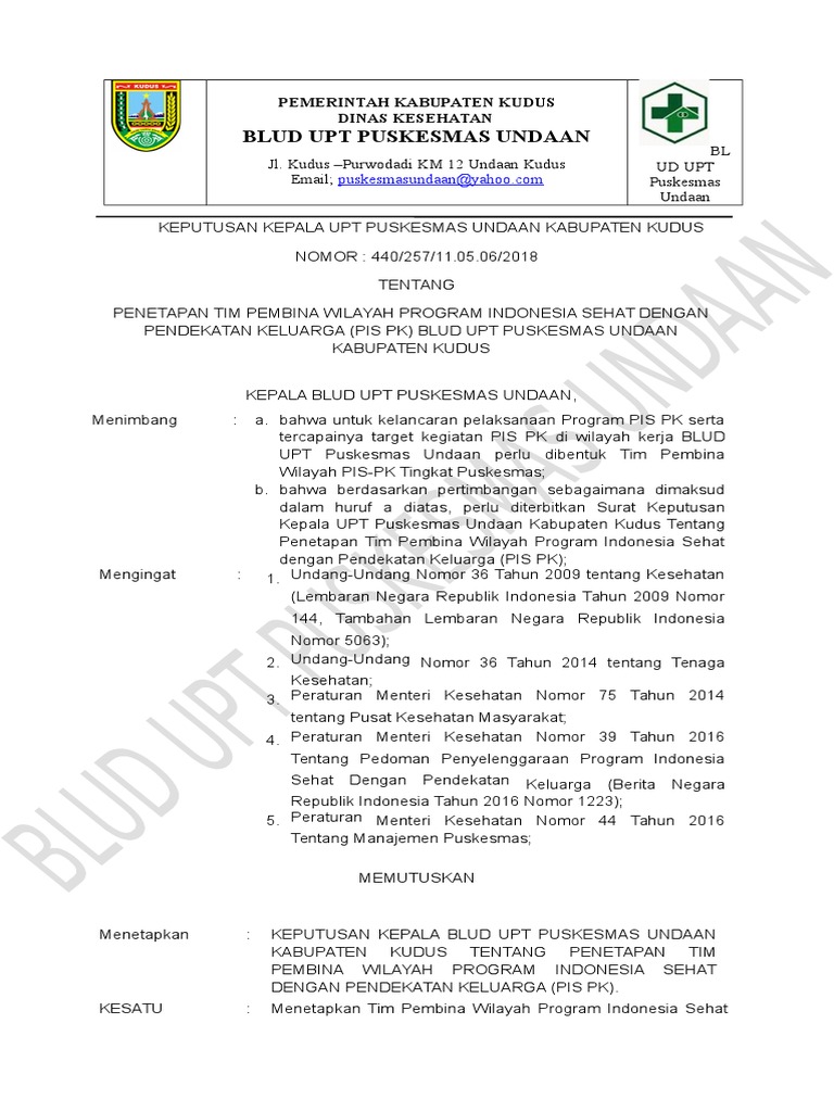 SK TIM Pembina Wilayah PISPK Undaan2 | PDF