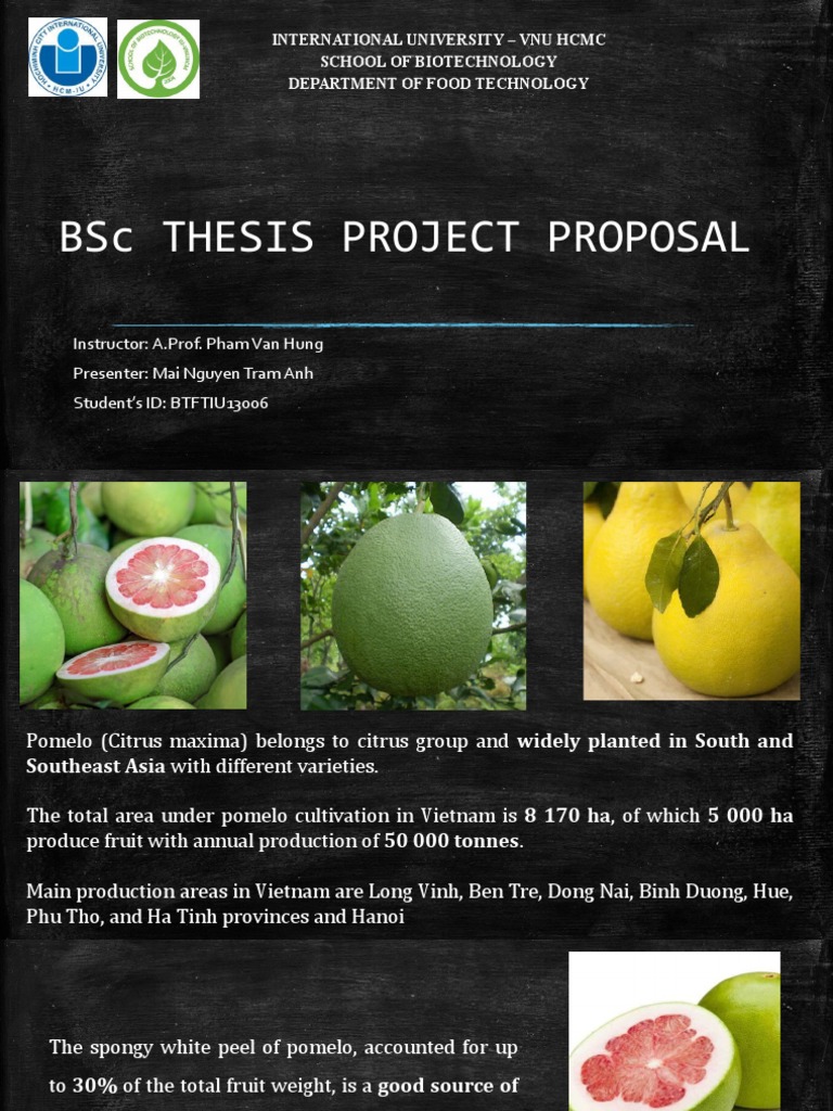 BSC Thesis Project Proposal - Starch | PDF | Infrared Spectroscopy ...