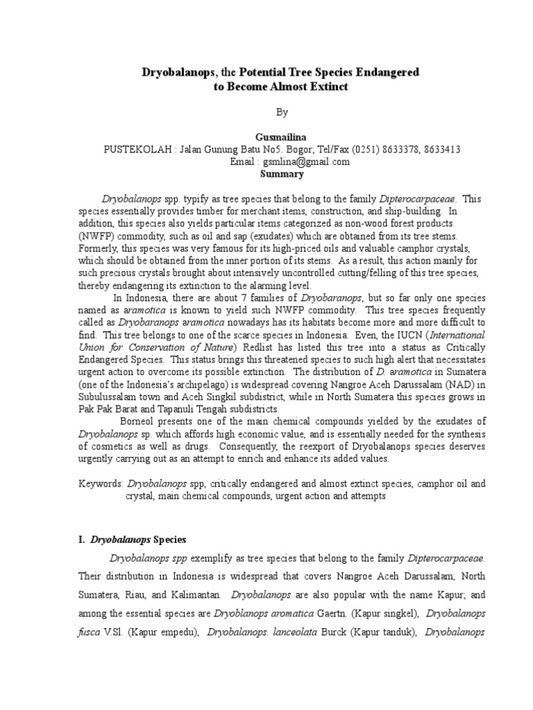 Endangered Dryobalanops Species Overview | PDF | Borneo | Trees
