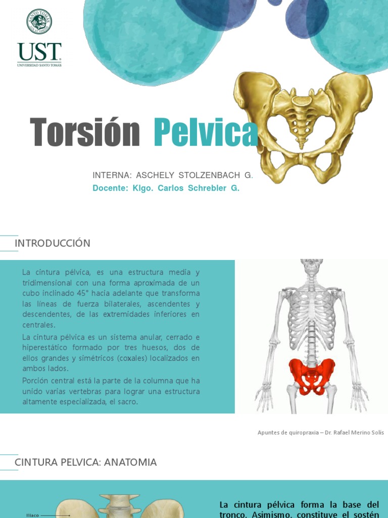 Torsión Pelvica | PDF | Pelvis | Sistema esquelético