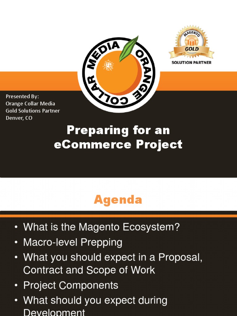 Sample E Commerce Project Plan PDF Magento Request For Proposal