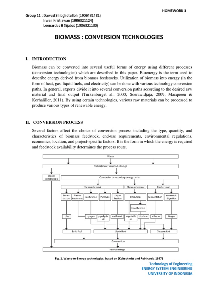 Biomass Conversion Technologies Fix | Download Free PDF | Biomass ...