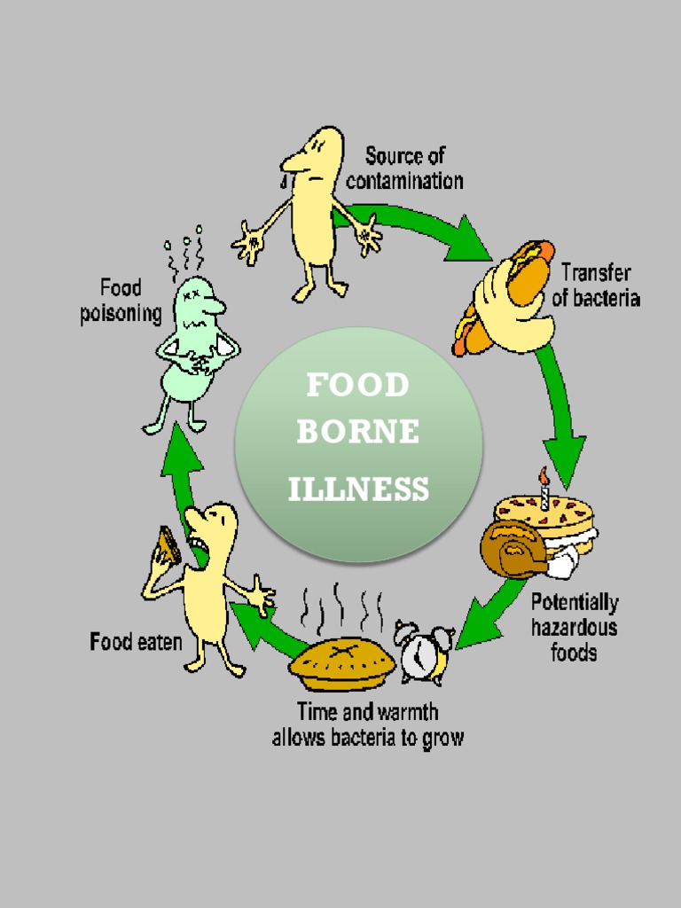Foodborne Illness | Download Free PDF | Foodborne Illness | Food Processing
