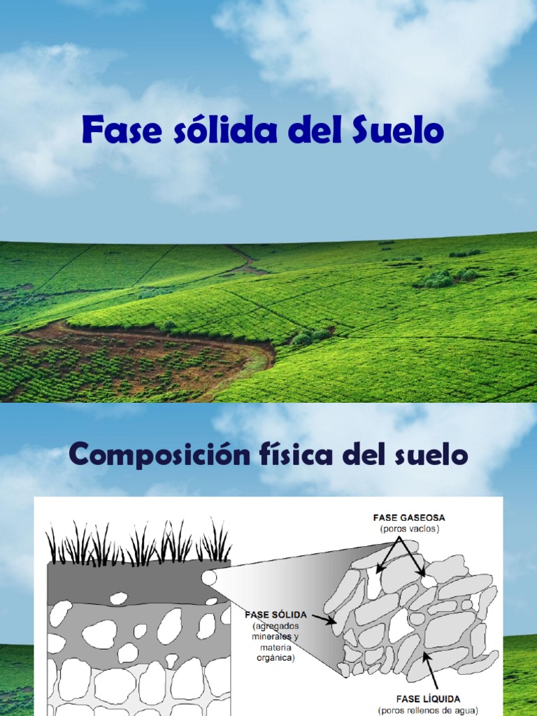 Fase Solida de Suelo | Minerales | Suelo