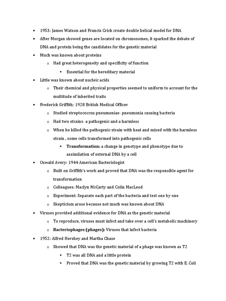AP Biology Chapter 16 Outline | PDF | Dna Replication | Dna