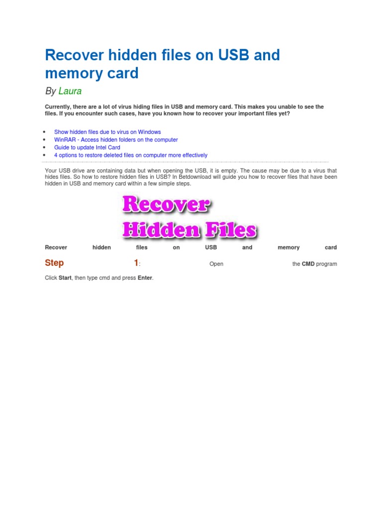 Recover Hidden Files On USB and Memory Card | PDF