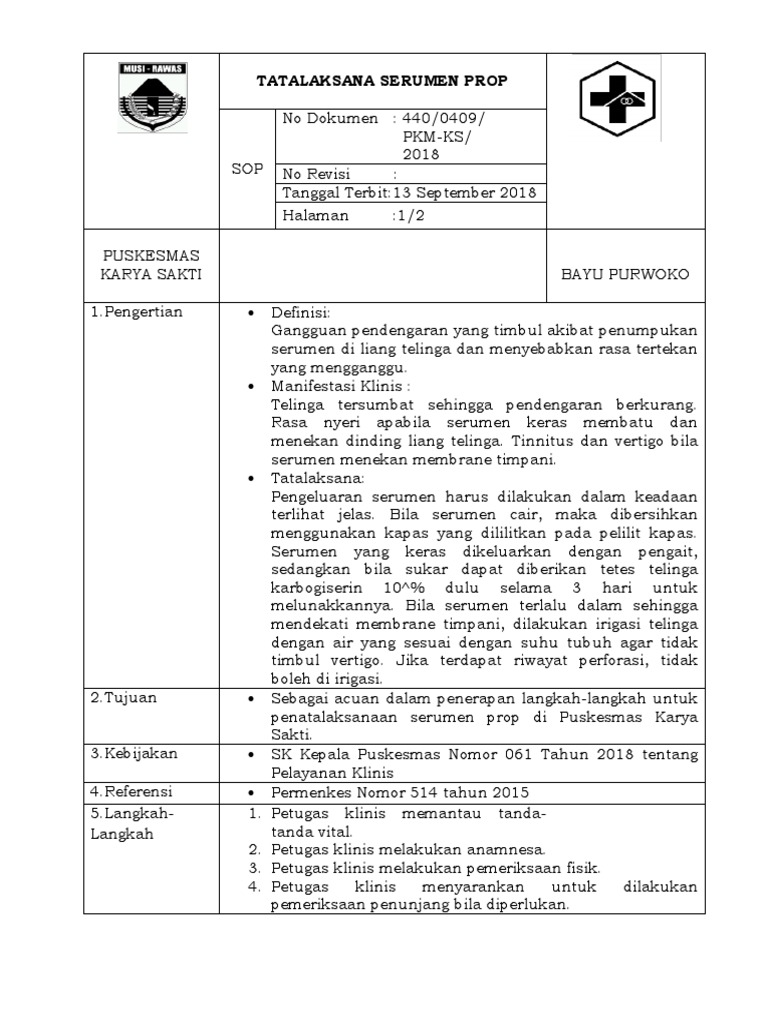 Tatalaksana Serumen Prop | PDF