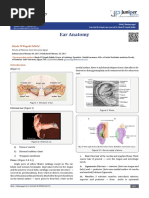 Muscle OIA | PDF | Vertebral Column | Vertebra