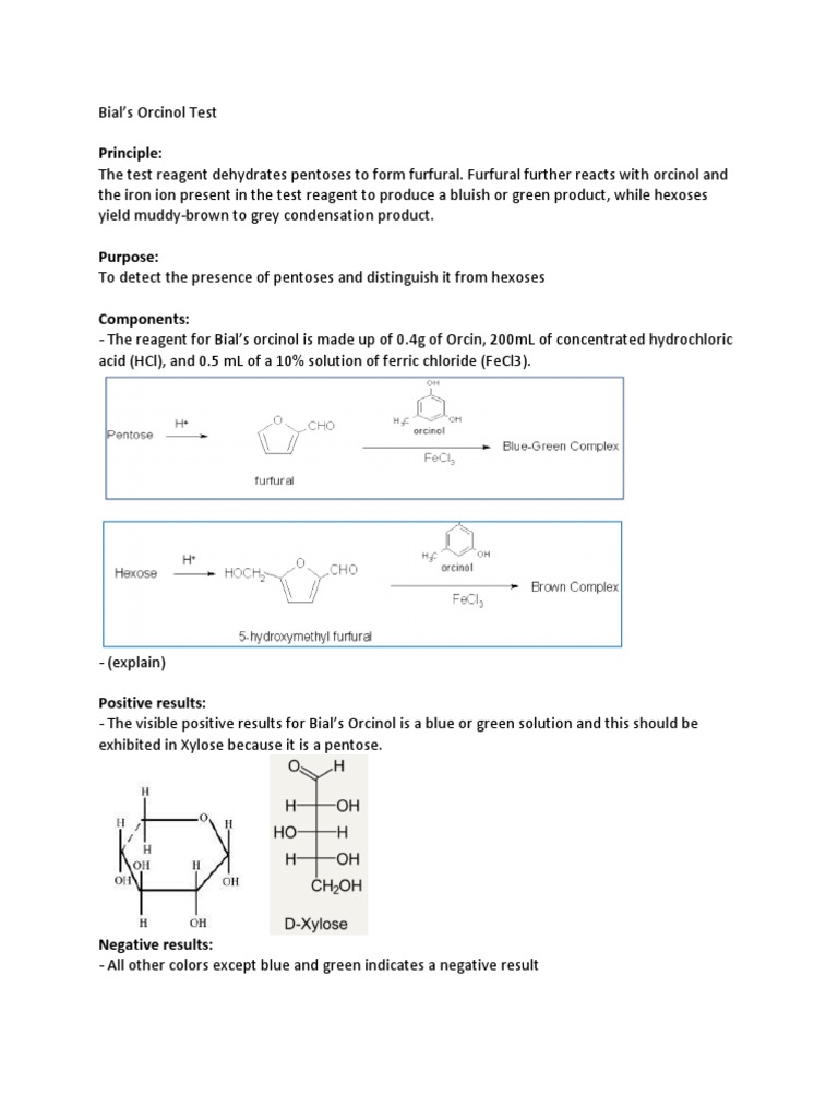 Bial's Orcinol Test | PDF