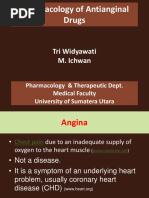 GTN Infusion Protocol | PDF | Causes Of Death | Angiology