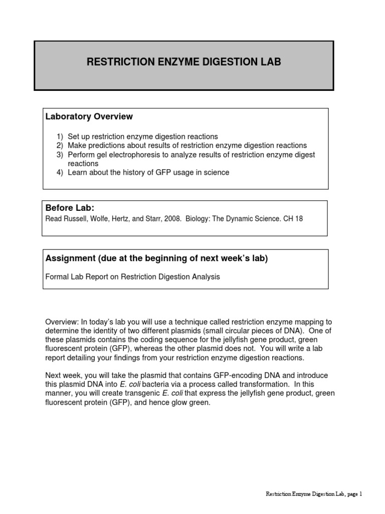 Restriction Enzyme Digestion Lab: Laboratory Overview | PDF | Gel ...