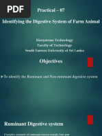 Ruminant and Pseudo-Ruminant Digestive System | PDF | Home & Garden ...