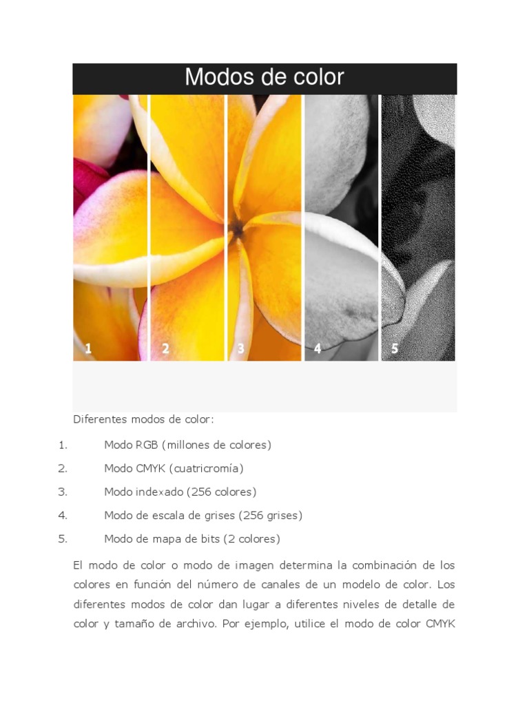 Modos de Color en Photoshop: Guía Completa | PDF | Modelo de color Rgb ...