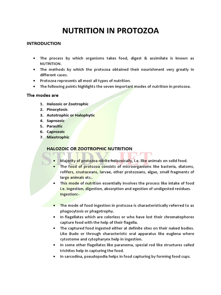 Nutrition in Protozoa | PDF | Protozoa | Vacuole