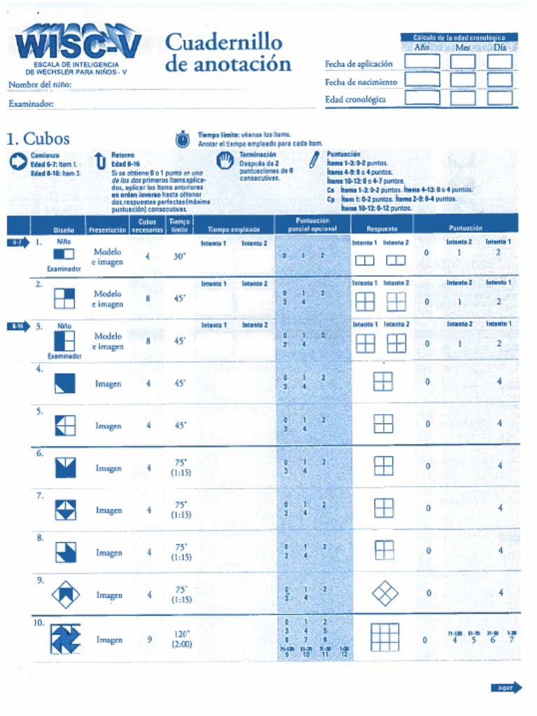 Wisc V | PDF