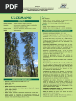 LITOSOLES | PDF | Suelo | Roca (geología)
