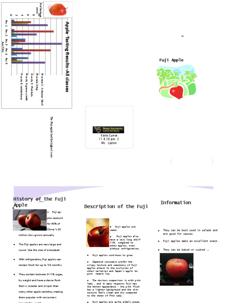 Karla Cueva Apple Brochure | PDF | Apple | Edible Fruits