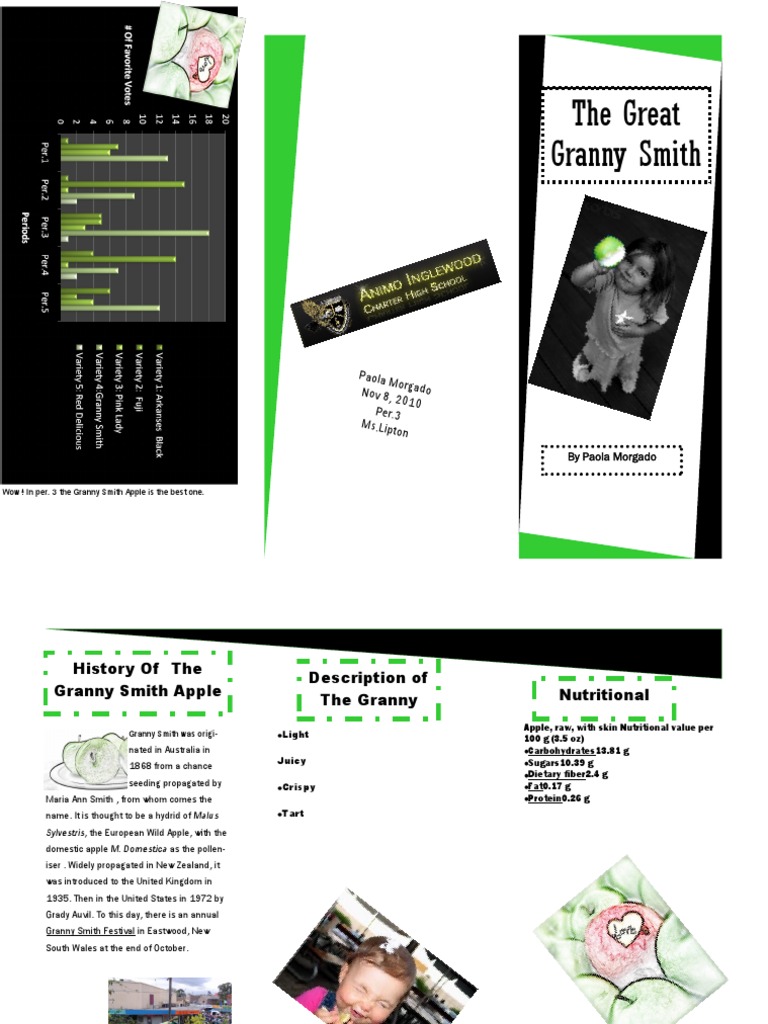 Paola Morgado Apple Brochure | PDF