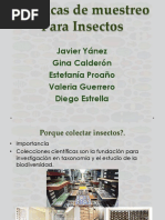 Guía de Colecta y Preservación de Insectos | PDF | Insectos | Taxonomía ...