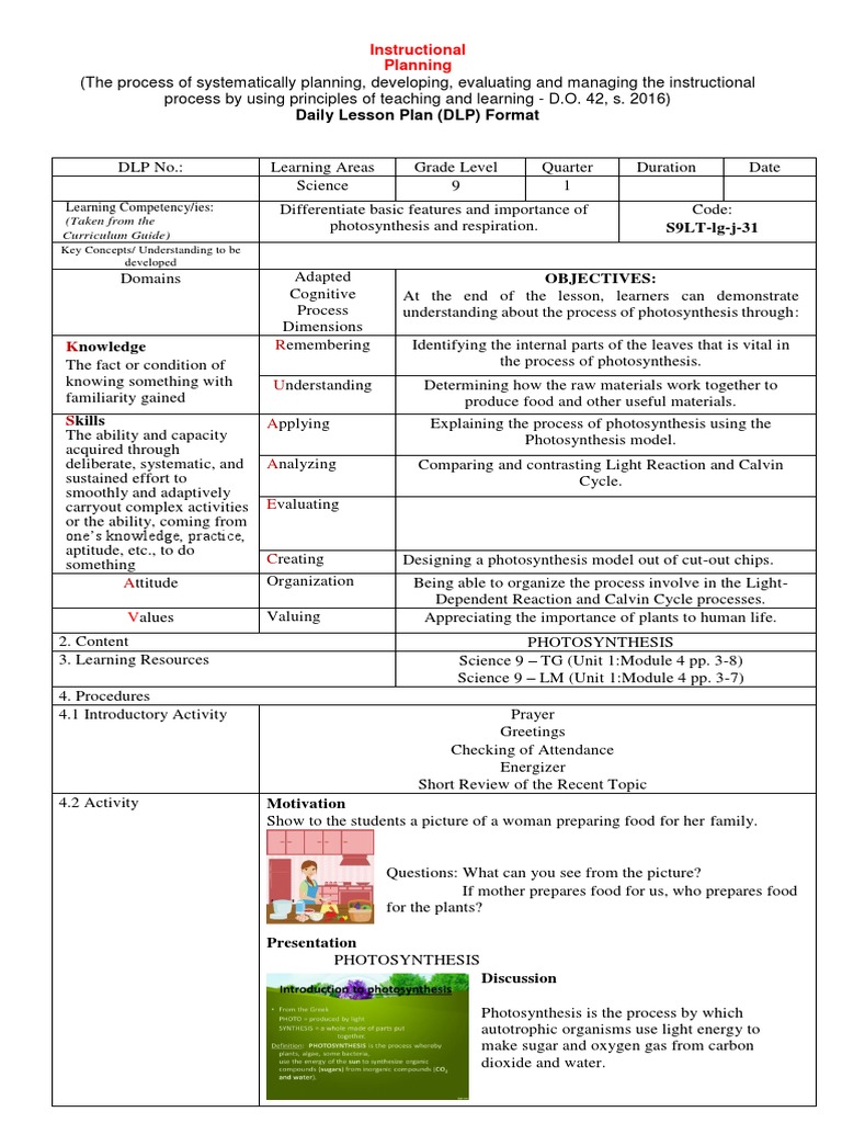Daily Lesson Plan | PDF | Photosynthesis | Chloroplast
